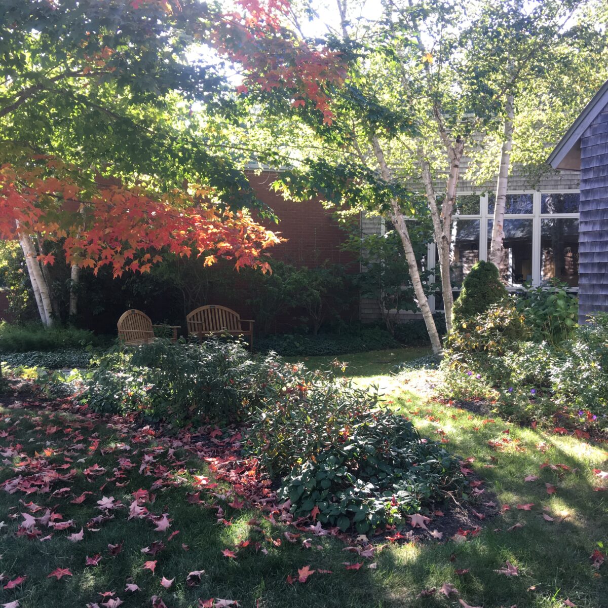 History & Mission – Freeport Community Library