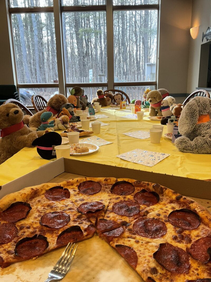 Stuffie Sleepover 2025 – Freeport Community Library